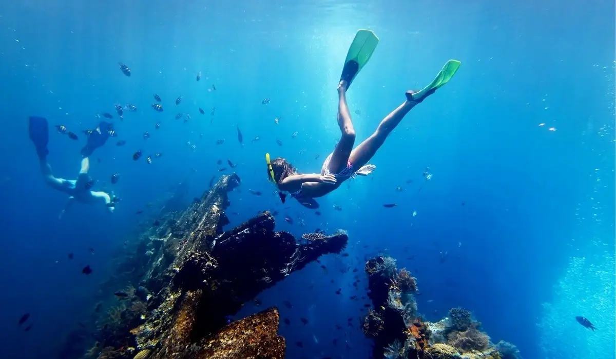 BALI SNORKELING Tour | Discover Bali's Underwater Paradise